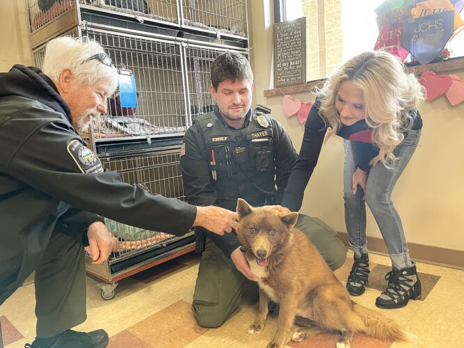 Fundraisers to help area’s furry friends | News, Sports, Jobs - The ...